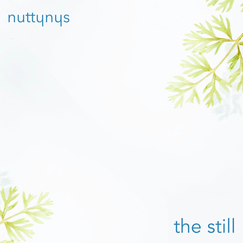 Nutty Nys - The Still (Lo-Fi Reprise) - THENYSHOUSE