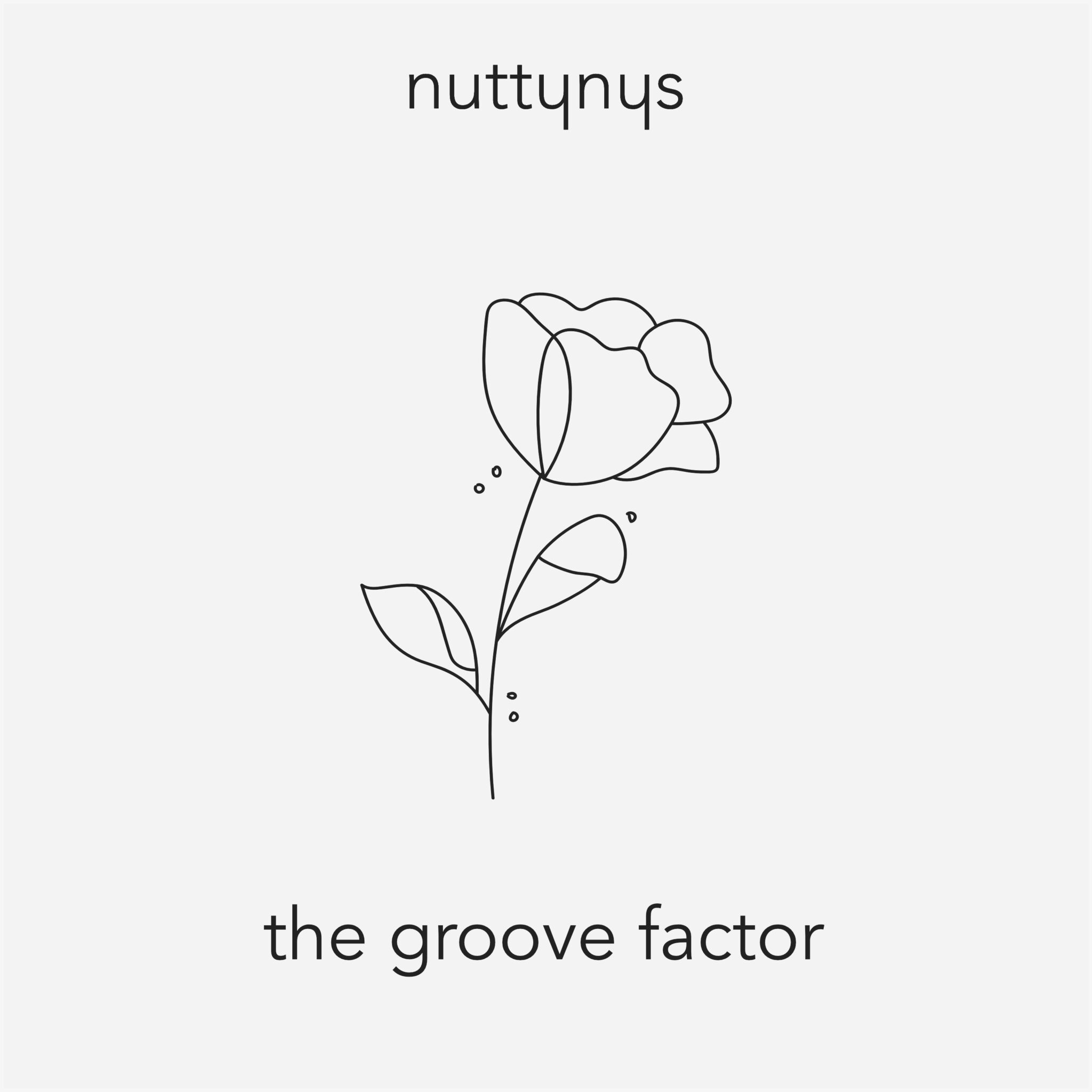Nutty Nys – The Groove Factor – THENYSHOUSE